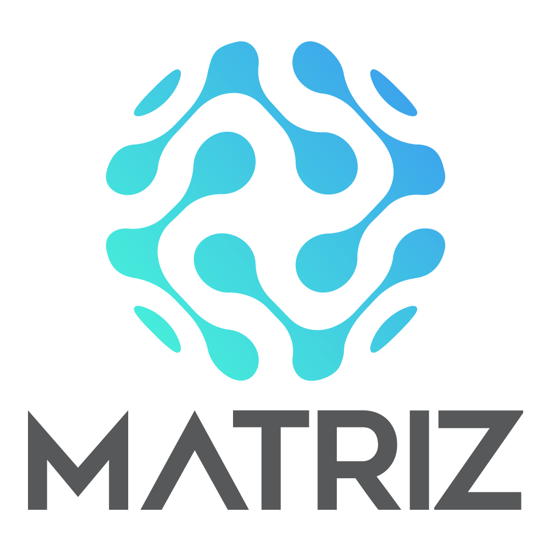 Logotipo De Soluciones Matriciales Solution Selection Criteria Matrix